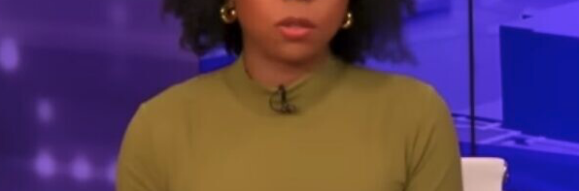 Briahna Joy Gray Fired After Interview - Steadfast Daily