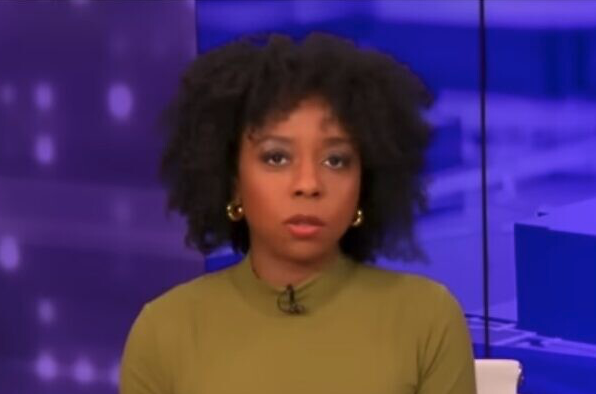 Briahna Joy Gray Fired After Interview - Steadfast Daily