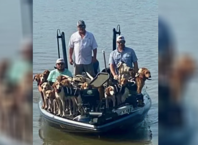 Heroic Fisherman Saves 38 Dogs From Drowning - Steadfast Daily