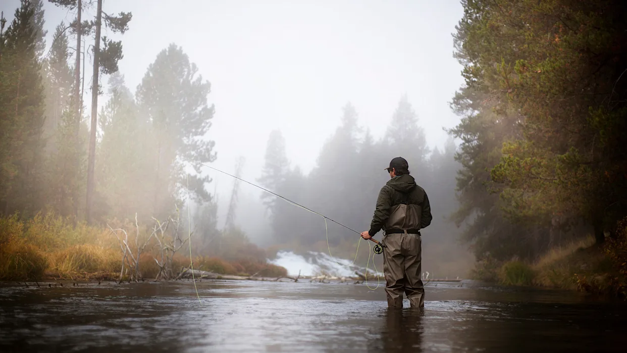 State Eco Push Includes Hunting And Fishing Ban - Steadfast Daily